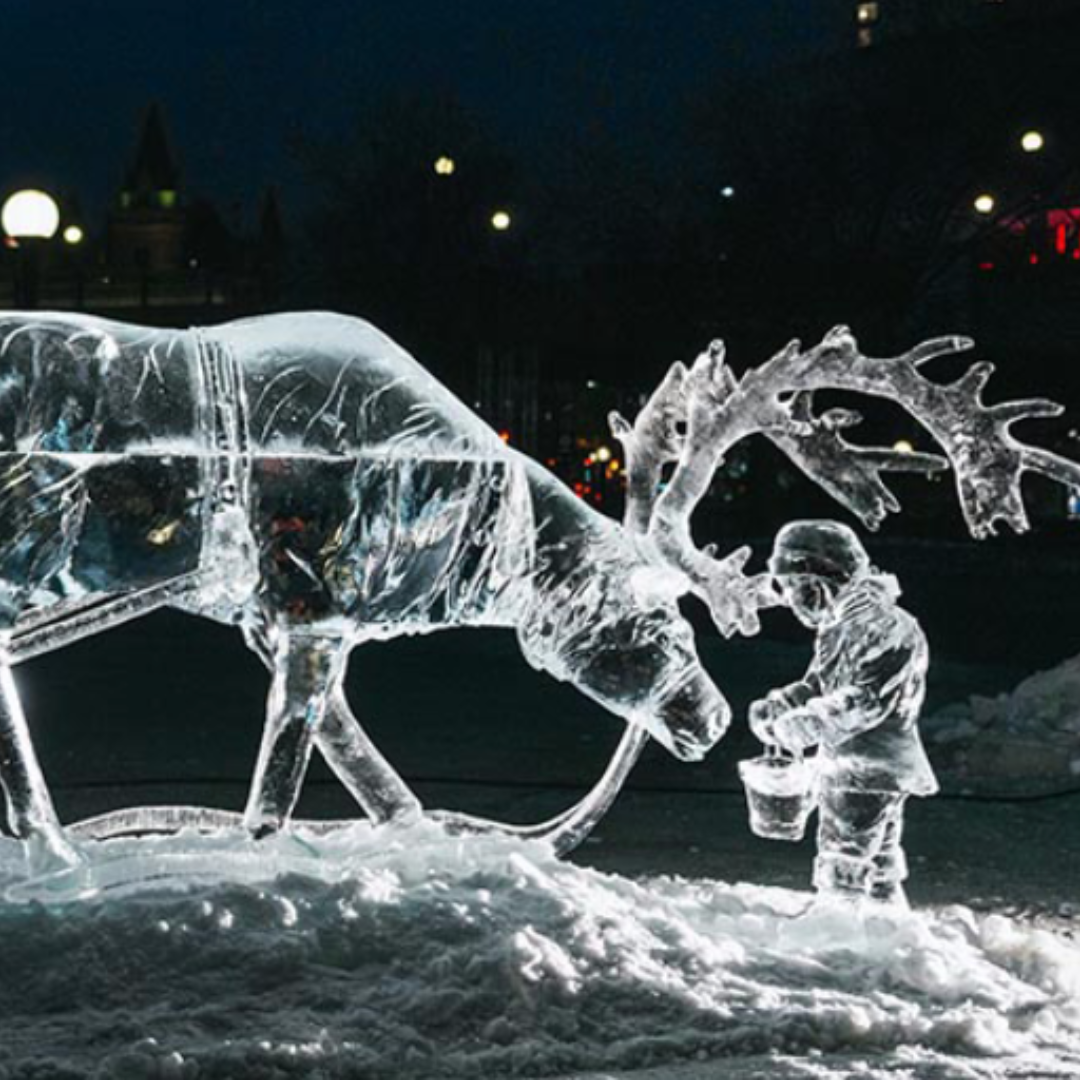 10 Fun Family Activities in Ottawa’s Winters - OWL Rafting